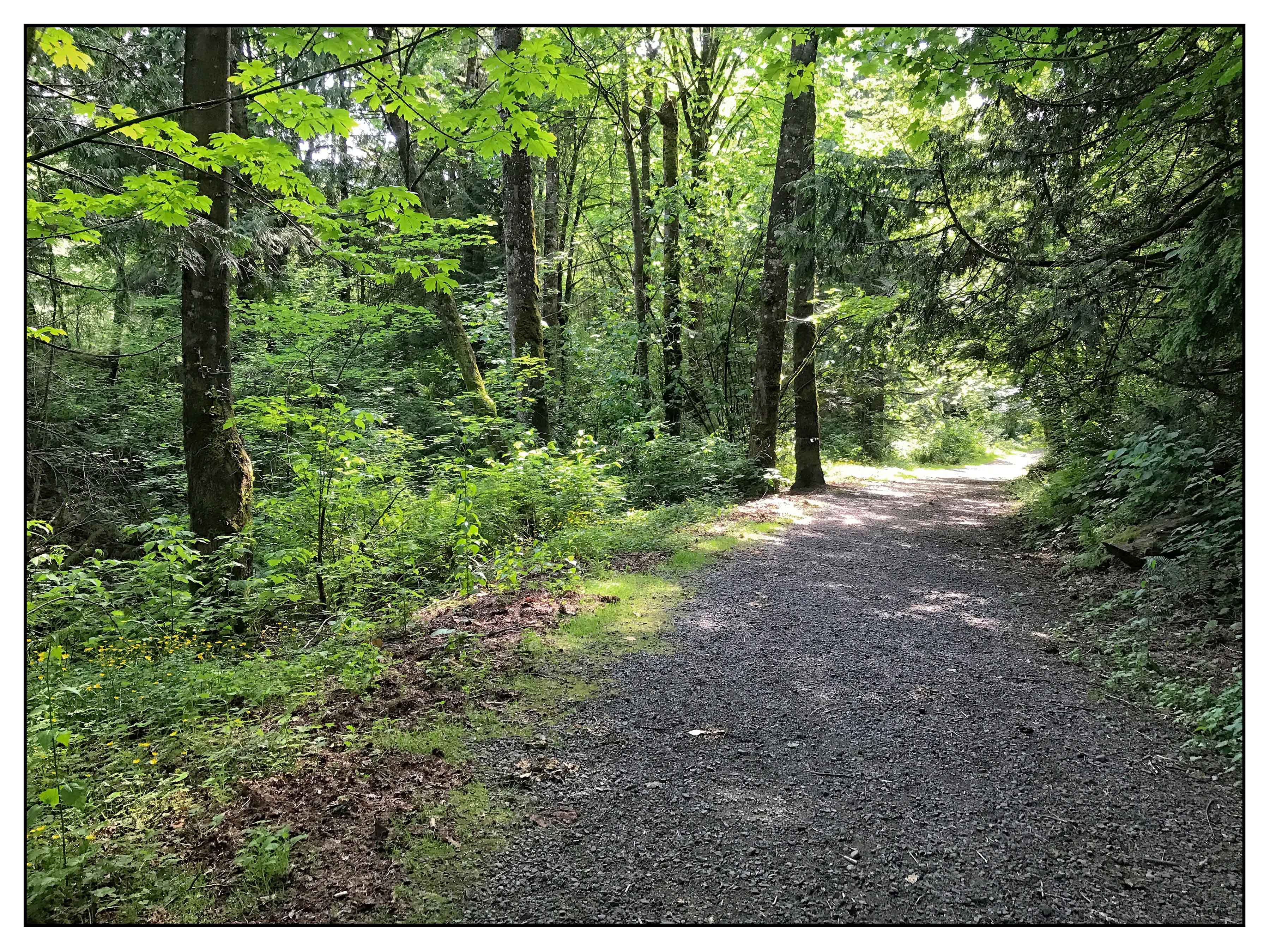 Clayburn Creek Trail | Always Stir